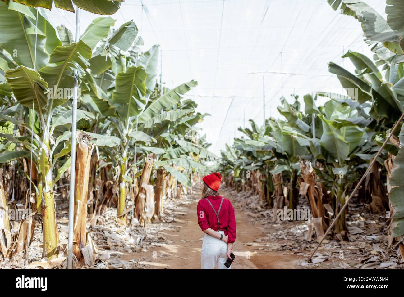 Woman as a tourist or farmer dressed casually in red and white walking ...