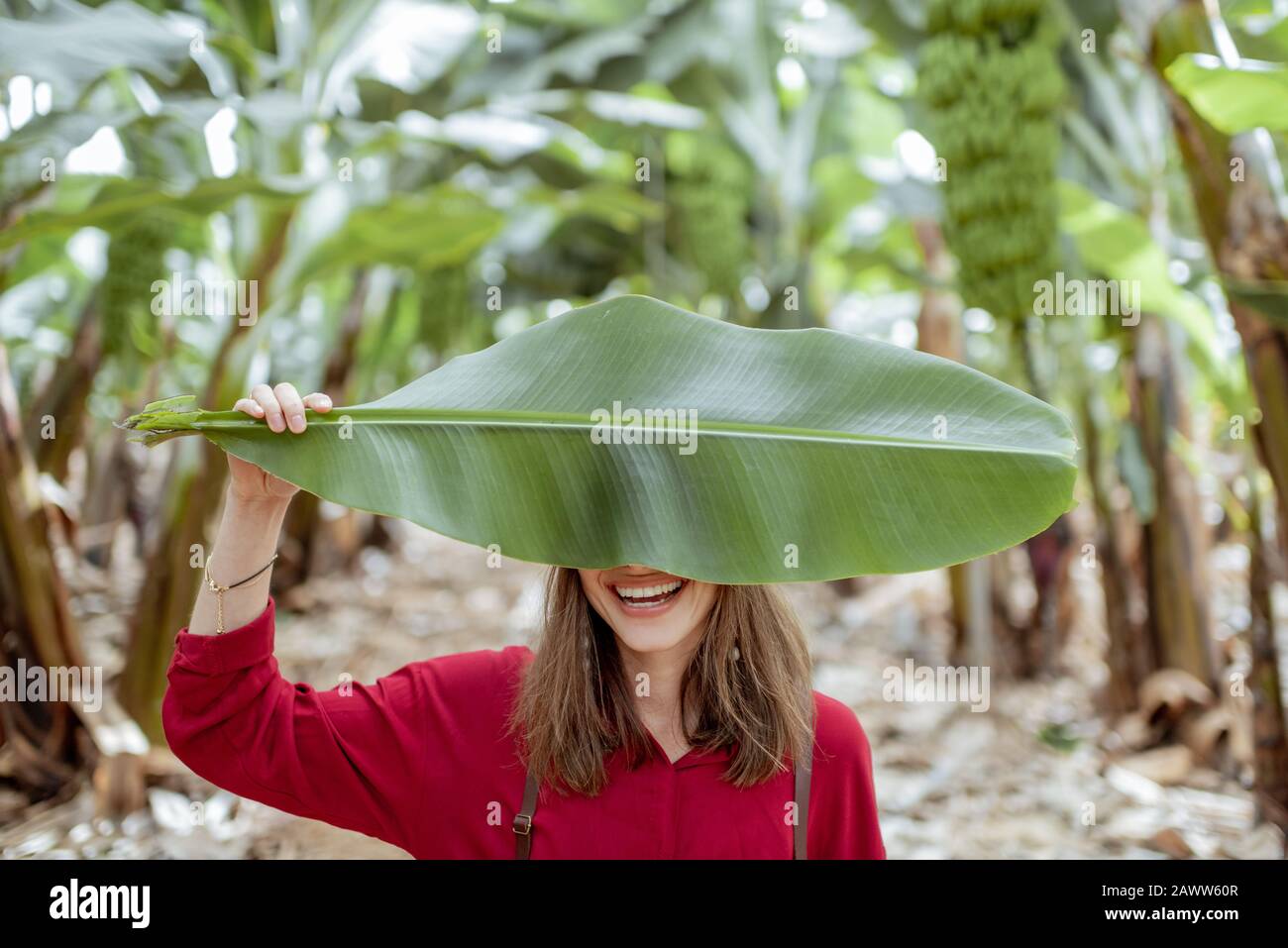 Facial portrait of a cute smiling woman hiding behind a banana leaf on ...