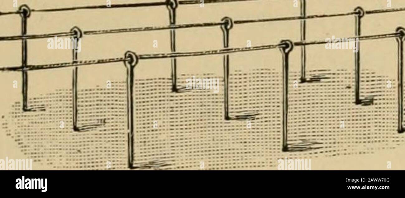 Pole Vaulters High Resolution Stock Photography and Images - Alamy