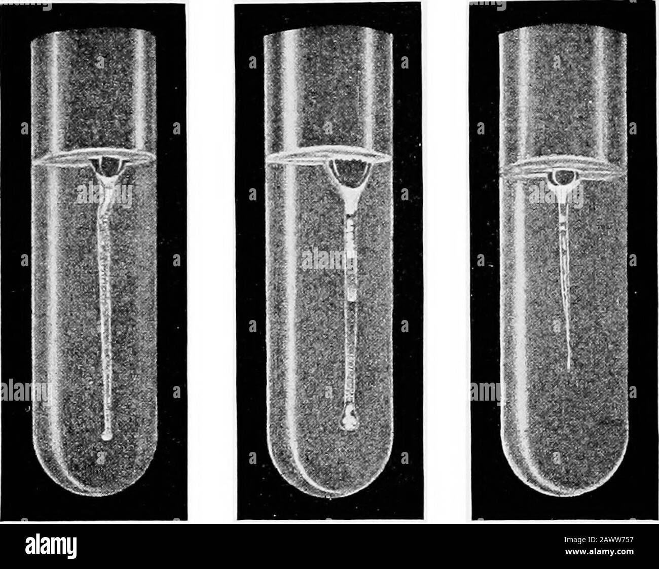 Bacteriology tube agar hi-res stock photography and images - Alamy