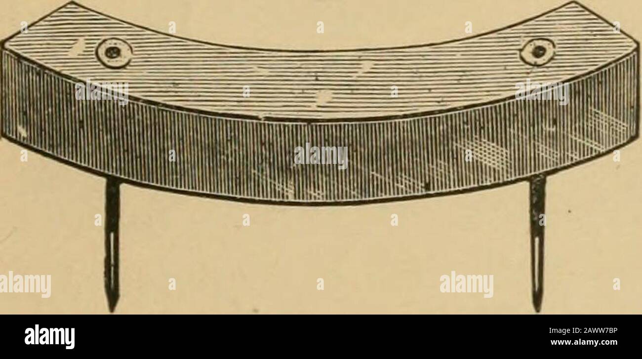 Pole Vaulters High Resolution Stock Photography and Images - Alamy