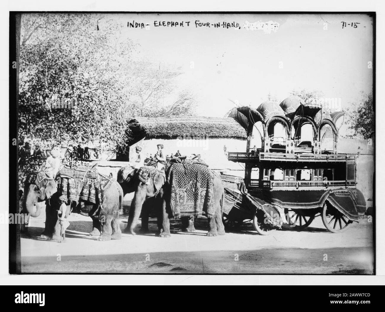 Four elephants pulling carriage, India Stock Photo - Alamy
