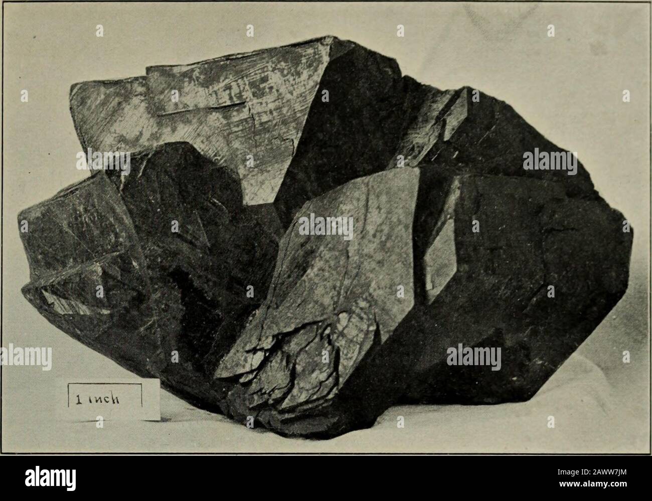 A popular guide to minerals : with chapters on the Bement Collection of ...