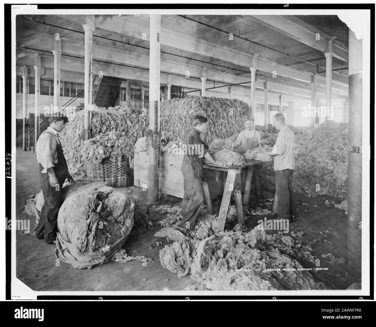 Wool fleeces Cut Out Stock Images & Pictures - Alamy