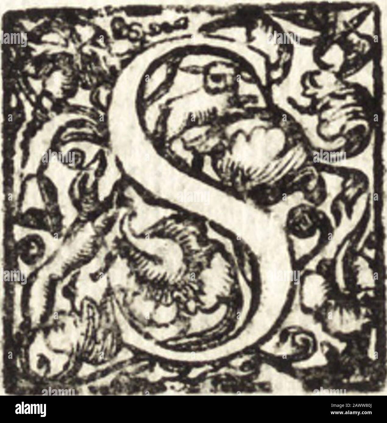 Disegno and colorito hi-res stock photography and images - Alamy