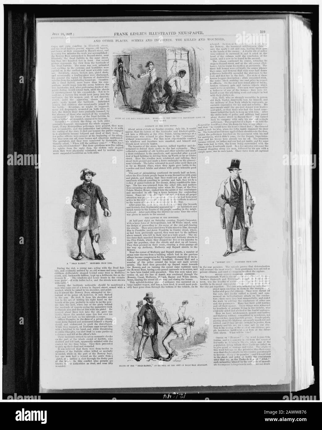 Dead rabbits new york hi-res stock photography and images - Alamy