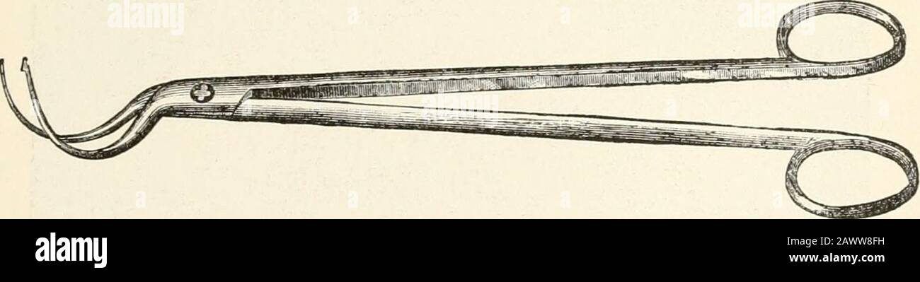 Trendelenburg hi-res stock photography and images - Alamy