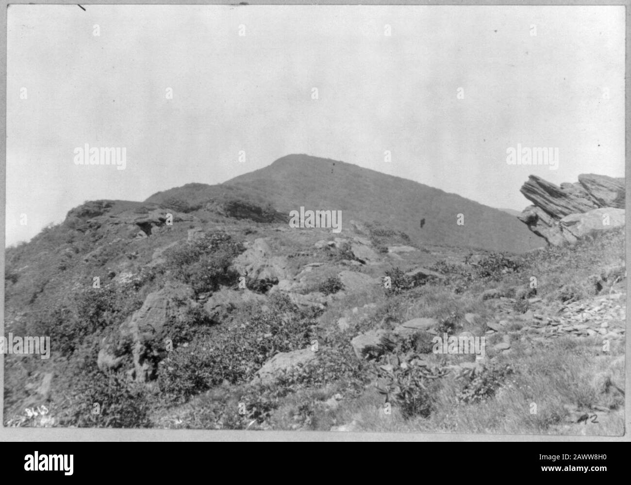 Four views in western North Carolina- Bull Head Stock Photo - Alamy