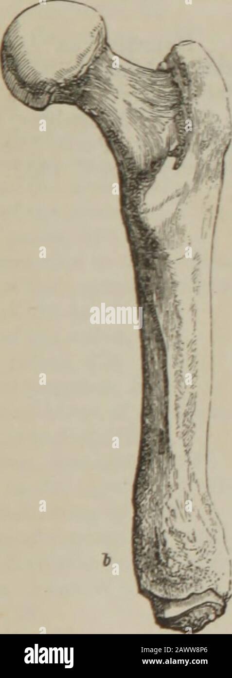 Sawn parts hi-res stock photography and images - Alamy