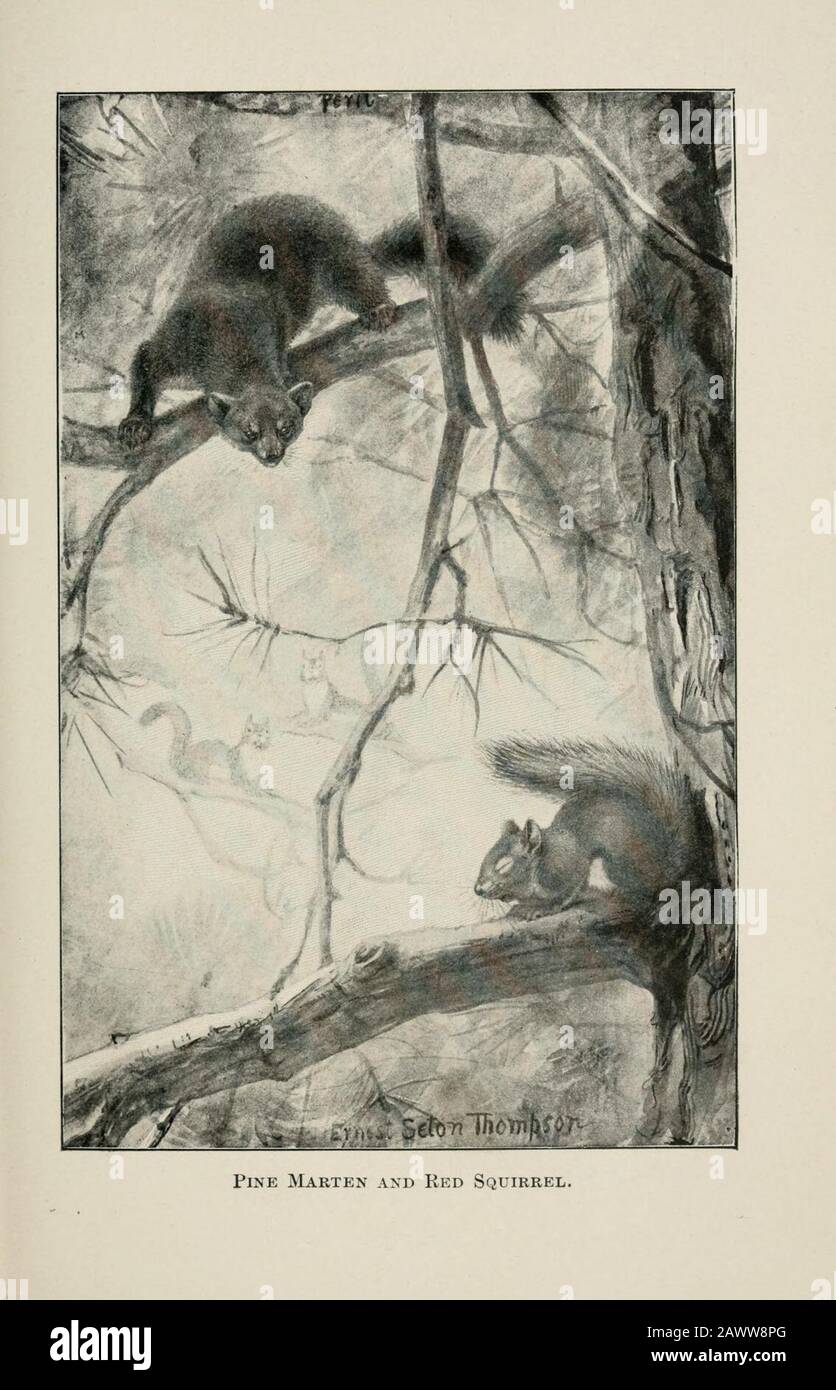 Footed plate hi-res stock photography and images - Alamy