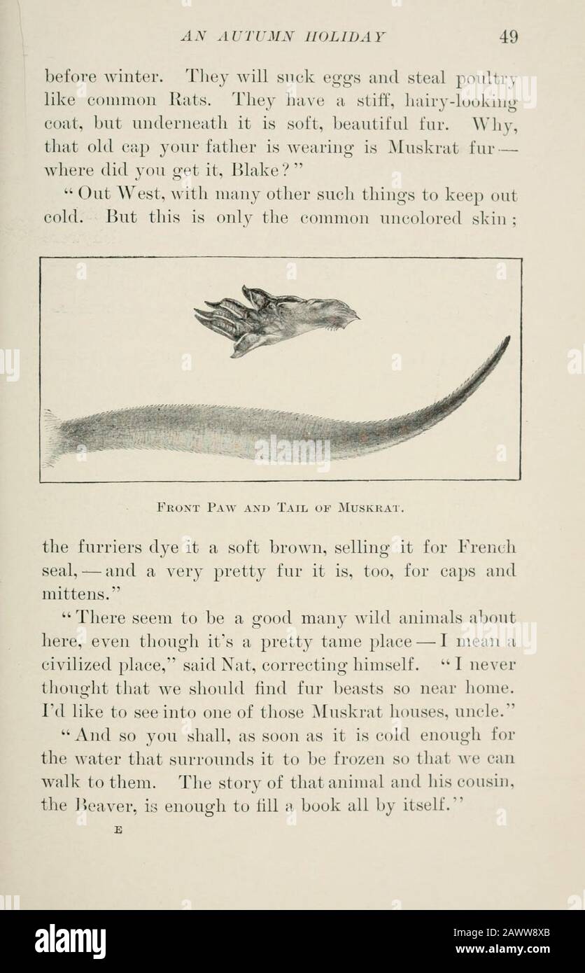 Four-footed Americans and their kin Stock Photo - Alamy