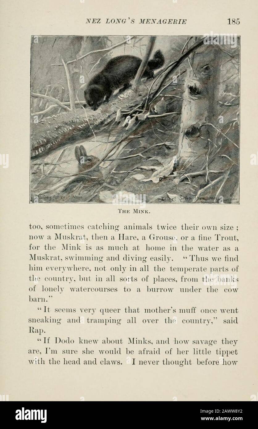 Four footed hi-res stock photography and images - Alamy