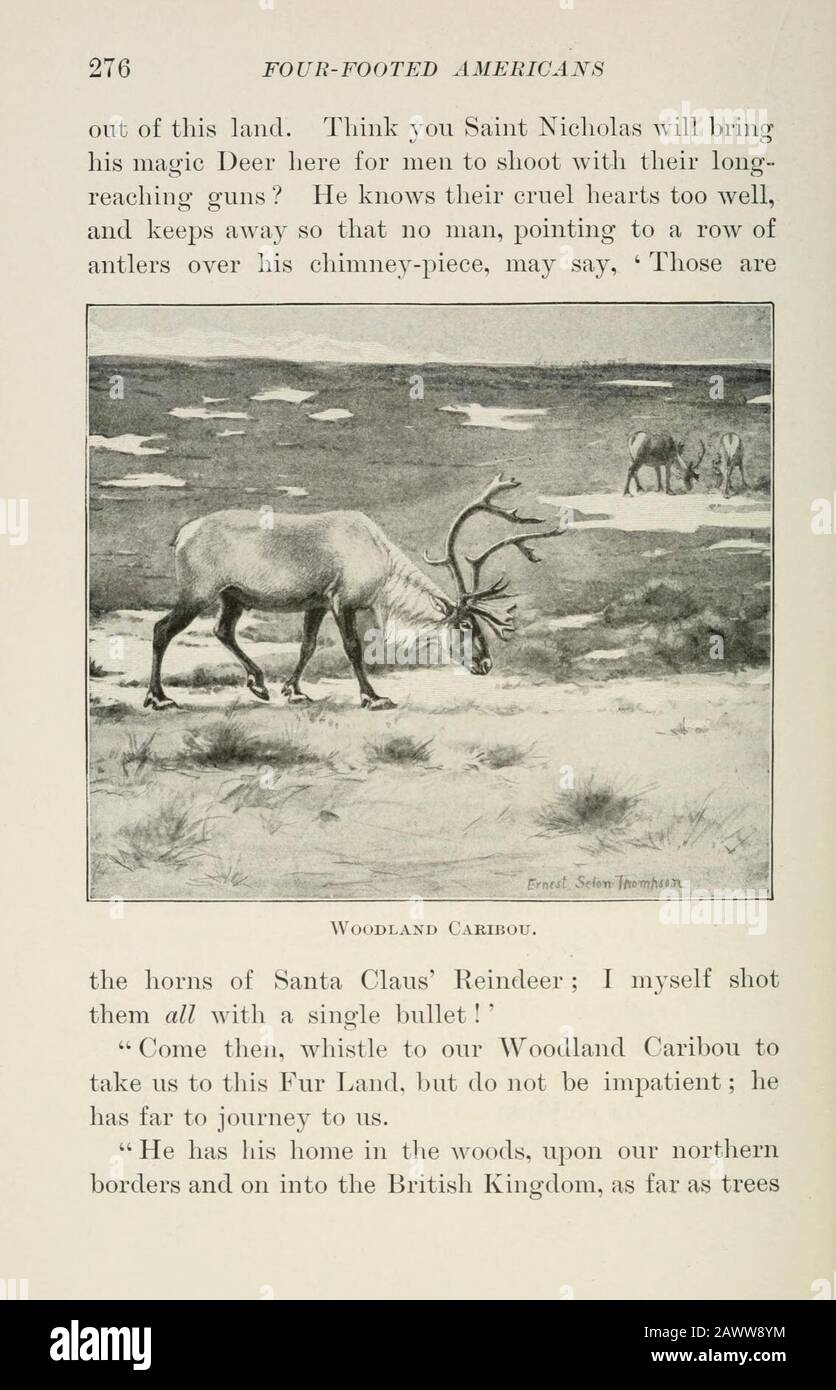 Four-footed Americans and their kin Stock Photo - Alamy