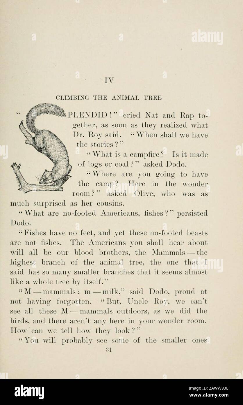 Four-footed Americans and their kin Stock Photo - Alamy