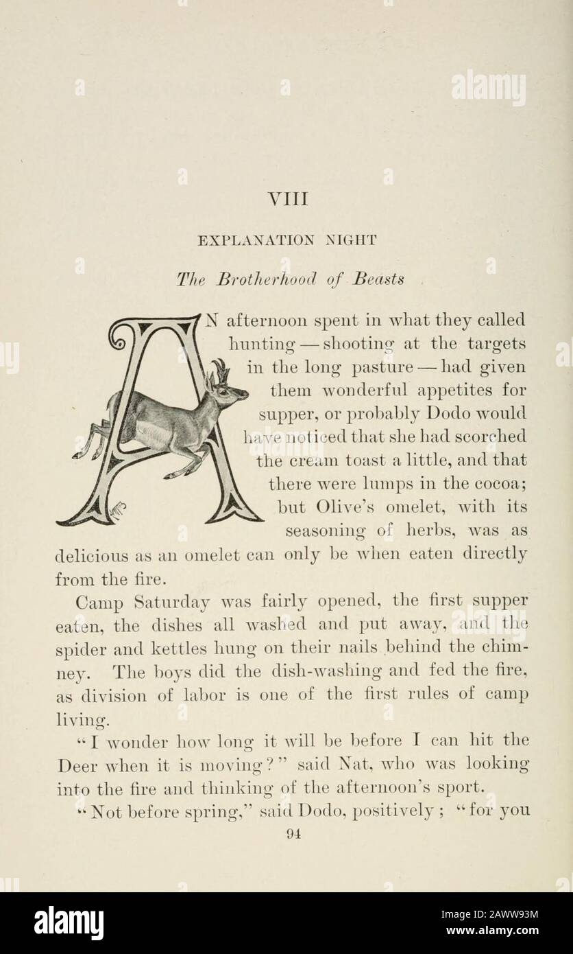 Four footed hi-res stock photography and images - Alamy