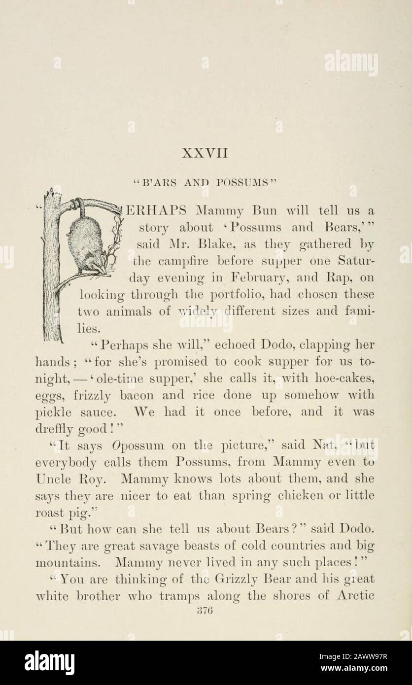 Four footed americans hi-res stock photography and images - Alamy