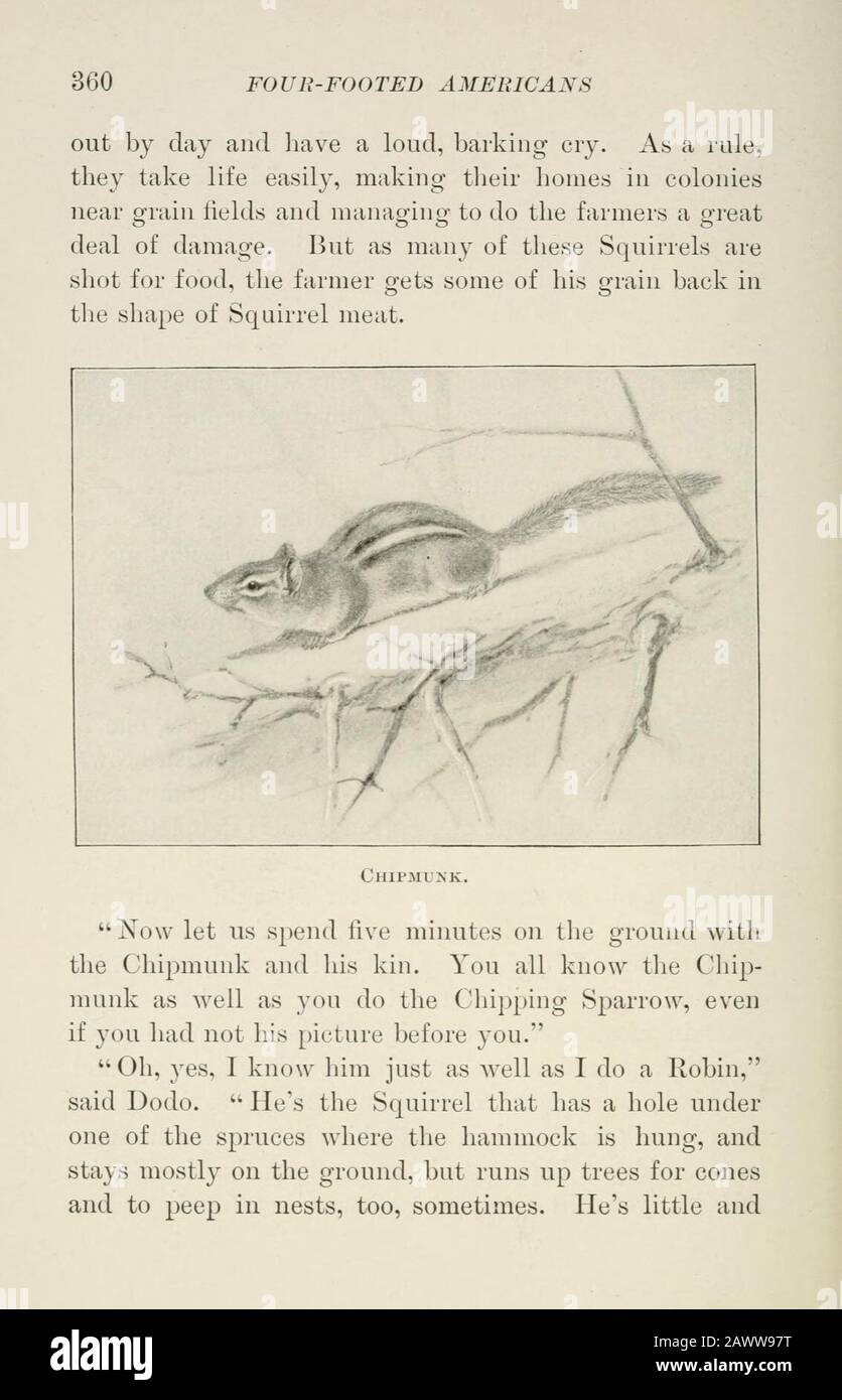 Four-footed Americans and their kin Stock Photo - Alamy