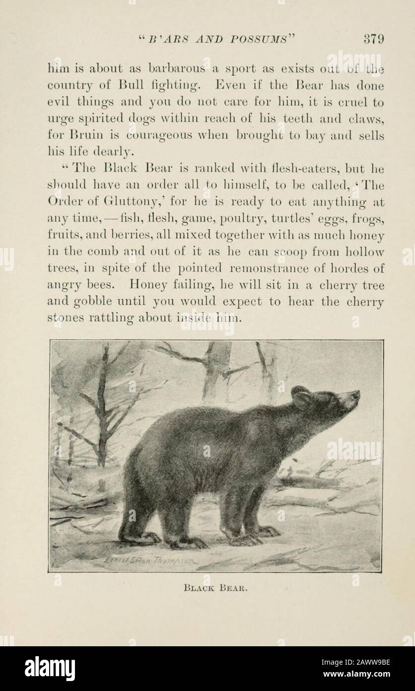 Four-footed Americans and their kin Stock Photo - Alamy