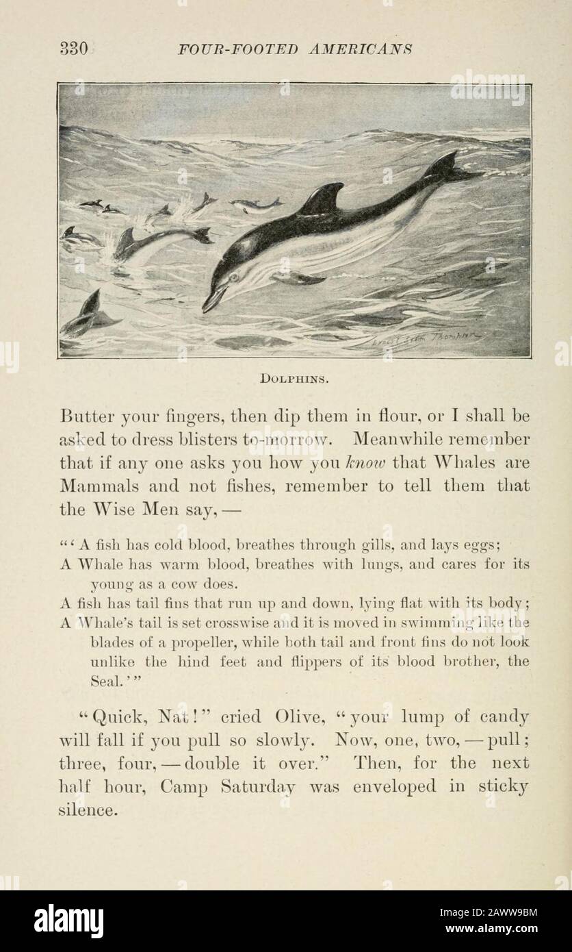 Four-footed Americans and their kin Stock Photo - Alamy