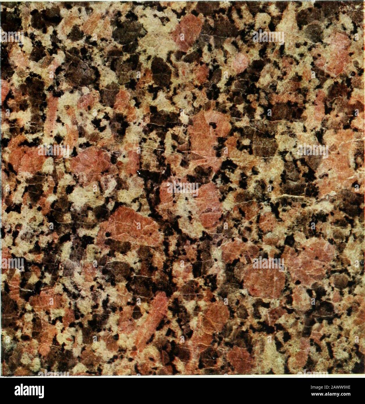 Porphyritic Granite