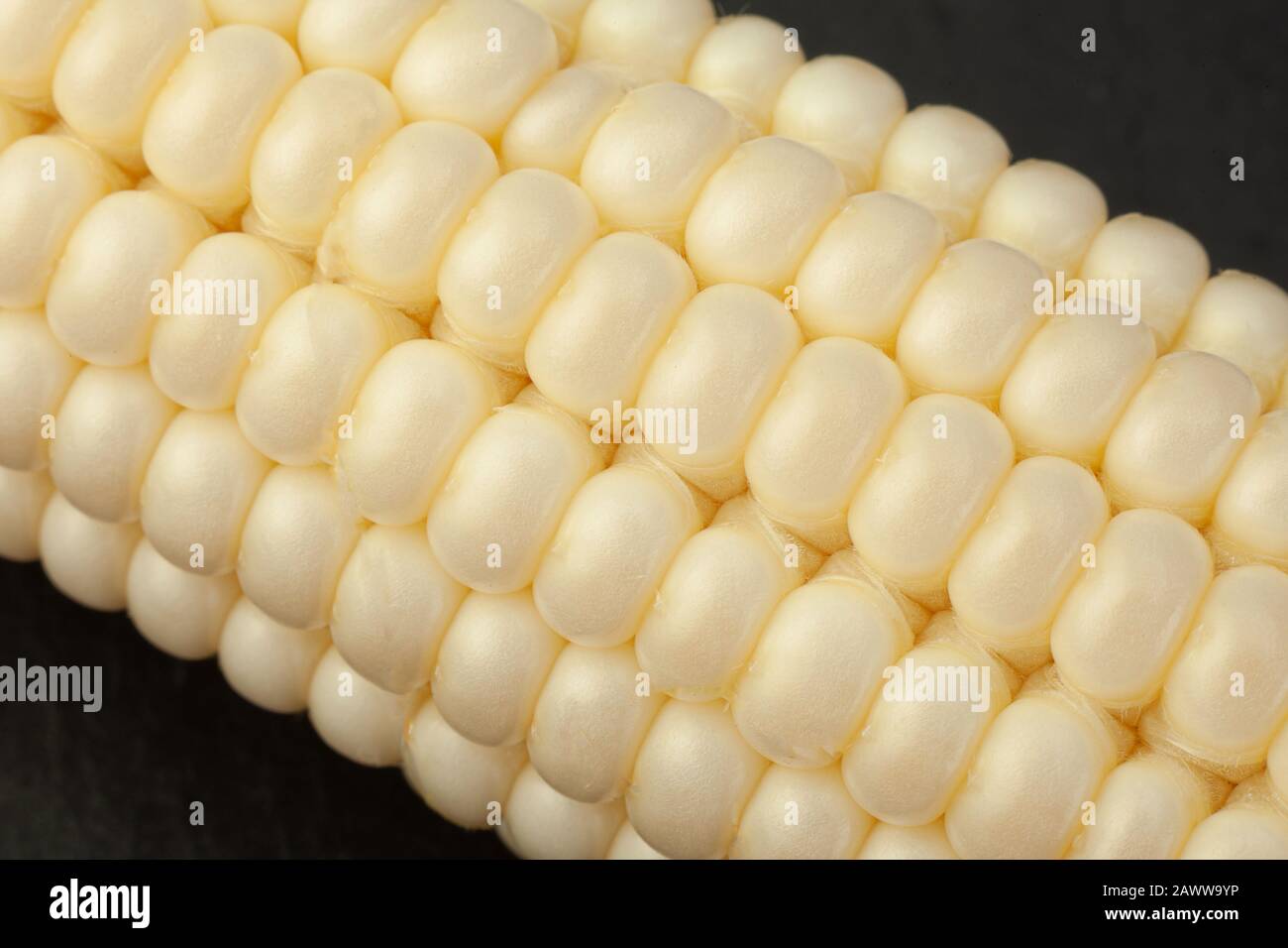 White Sweet corn vegatable closeup corn seeds background Stock Photo ...