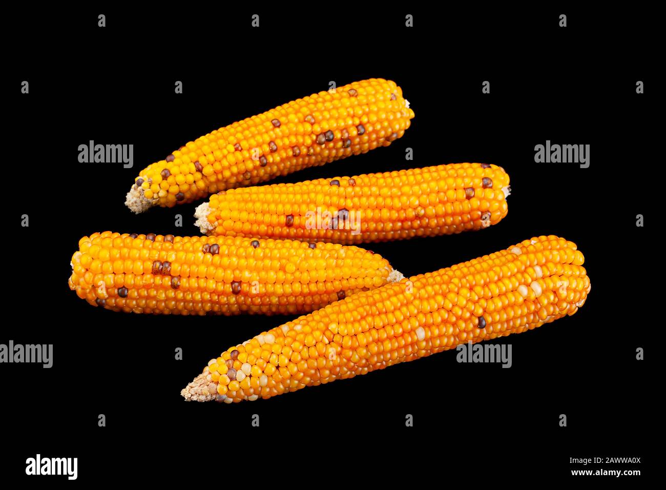 Yellow popcorn dry seeds isolated on blackbackground Stock Photo - Alamy