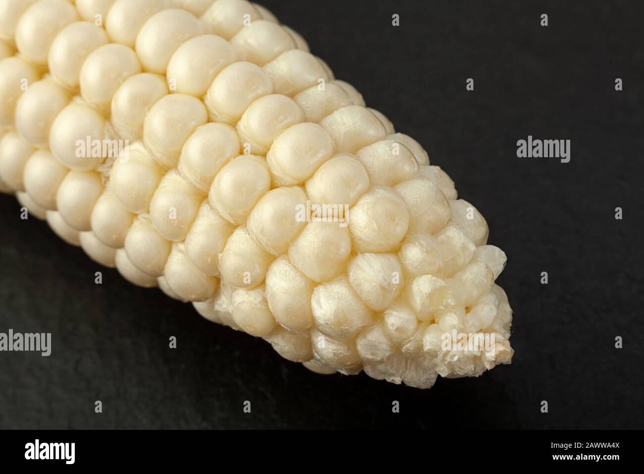 White Sweet corn vegatable closeup corn seeds background Stock Photo ...