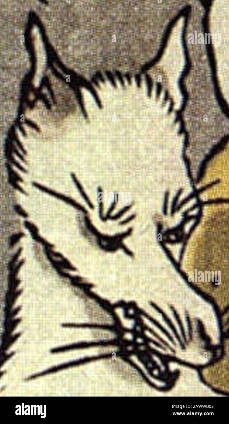 Fox goddess detail Stock Photo - Alamy