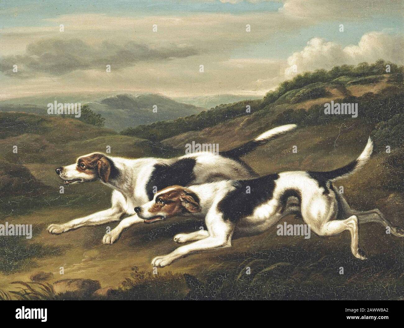 Foxhounds - Samuel Raven Stock Photo - Alamy