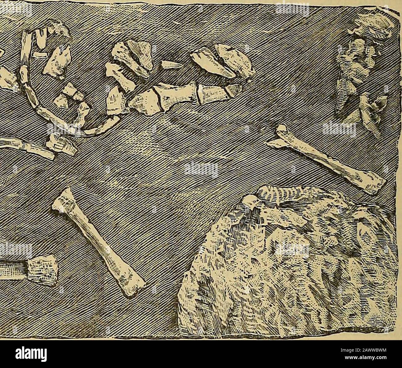 Specimen indicating hi-res stock photography and images - Alamy