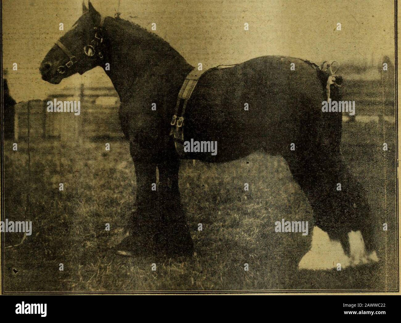 Dipi hi-res stock photography and images - Alamy