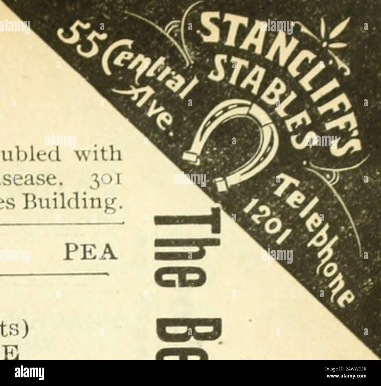 Dr james patrick lewis hi-res stock photography and images - Alamy