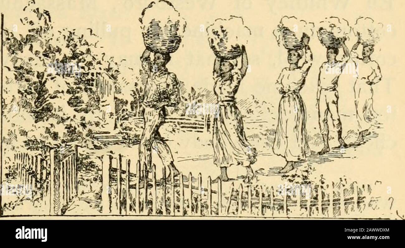 Eli whitney cotton gin hi-res stock photography and images - Alamy