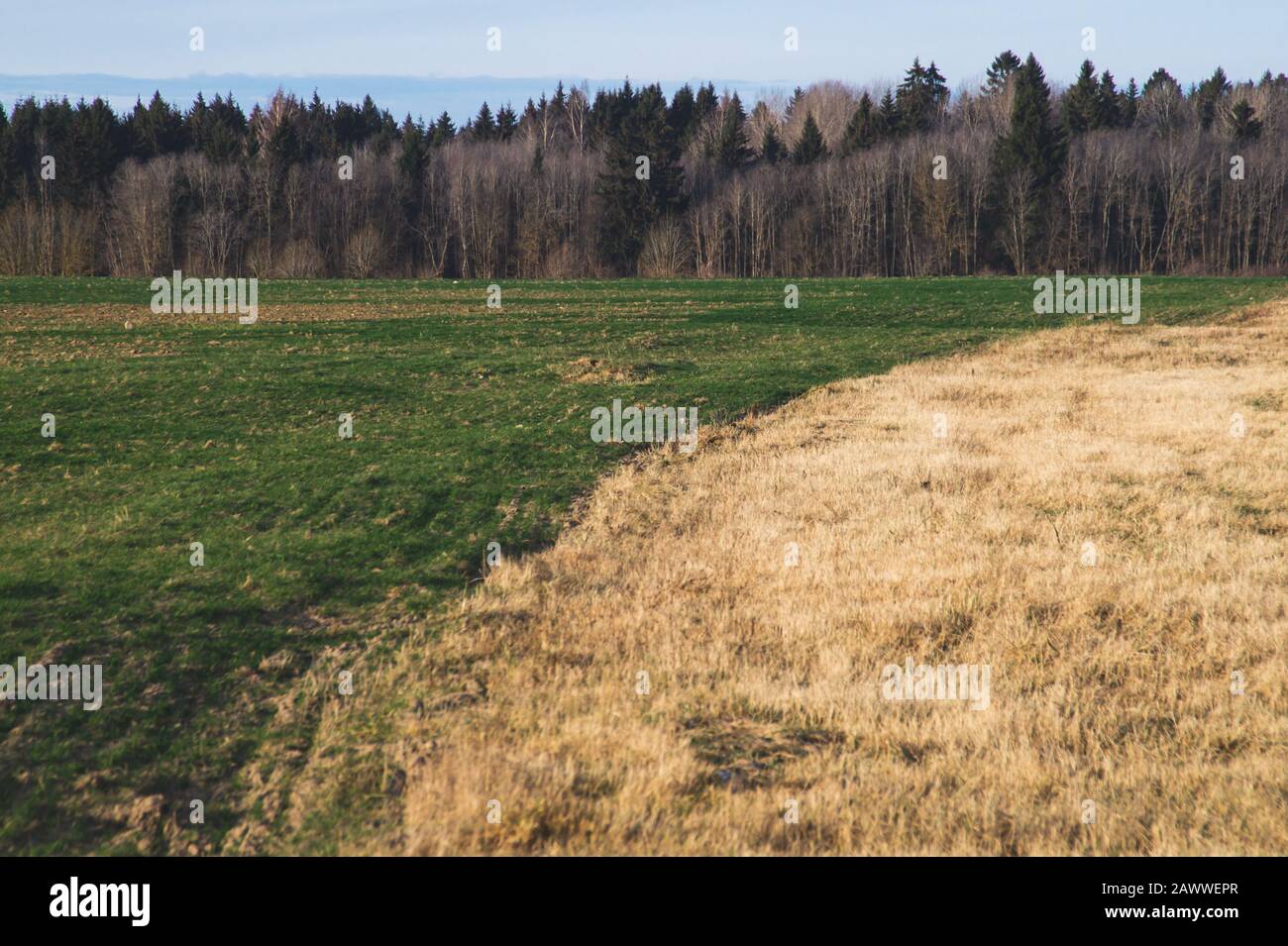 Grassland background hi-res stock photography and images - Alamy