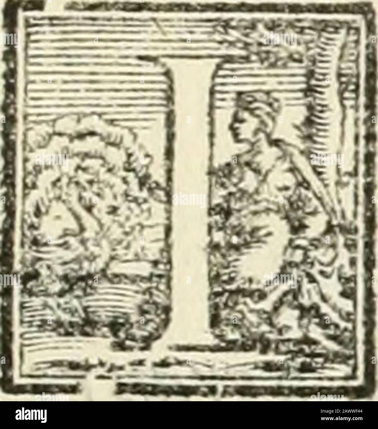 Ouani hi-res stock photography and images - Alamy