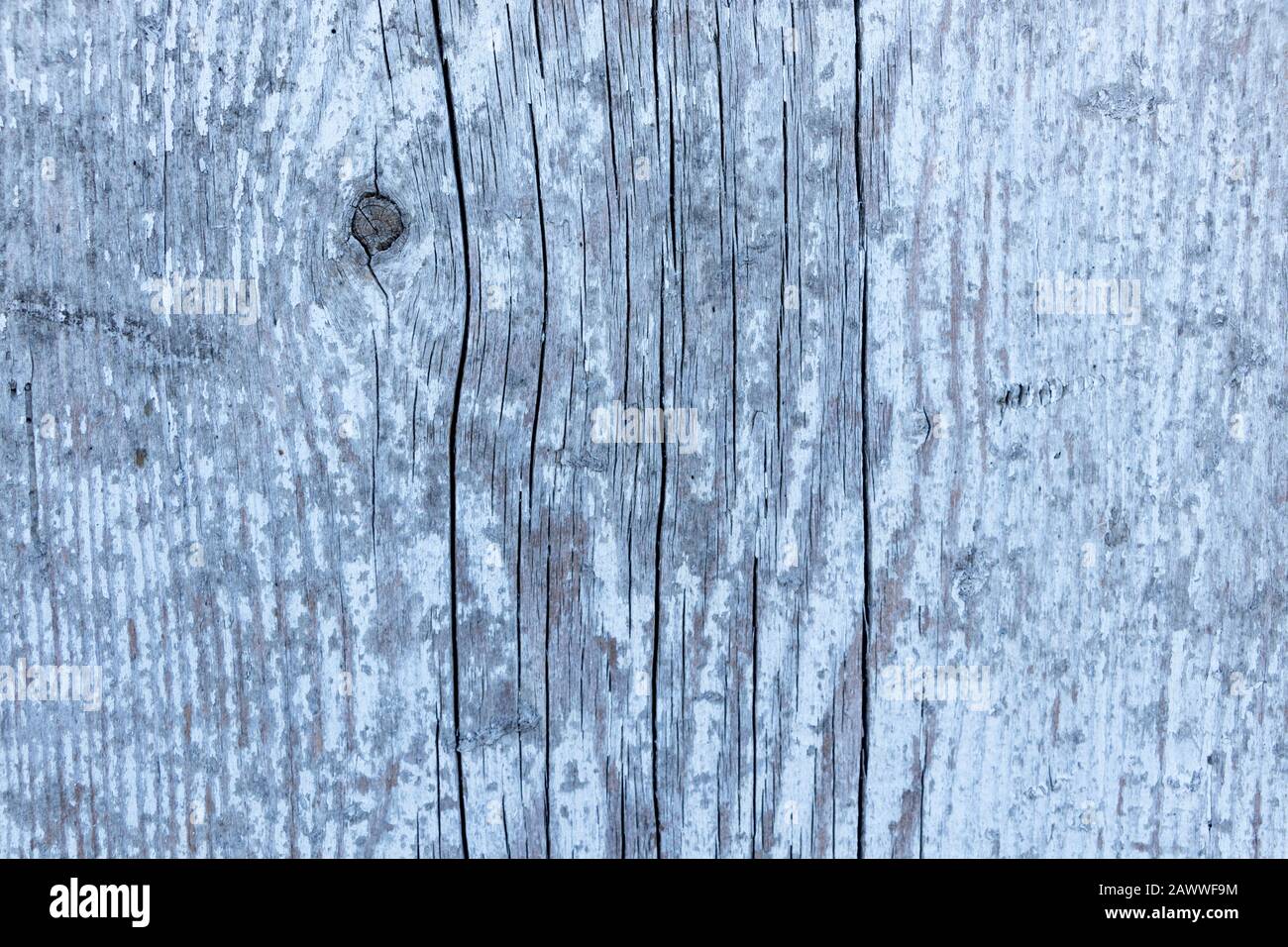 Old wood texture. Dry wooden overlay texture Stock Photo - Alamy