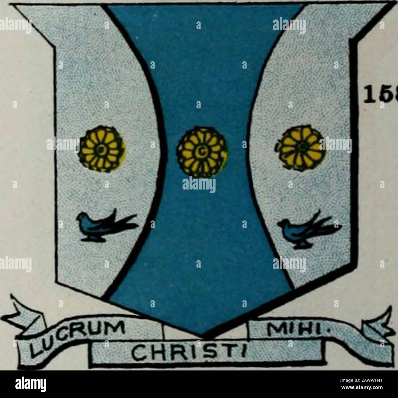 Irish pedigrees; or, The origin and stem of the Irish nation . 158 ...