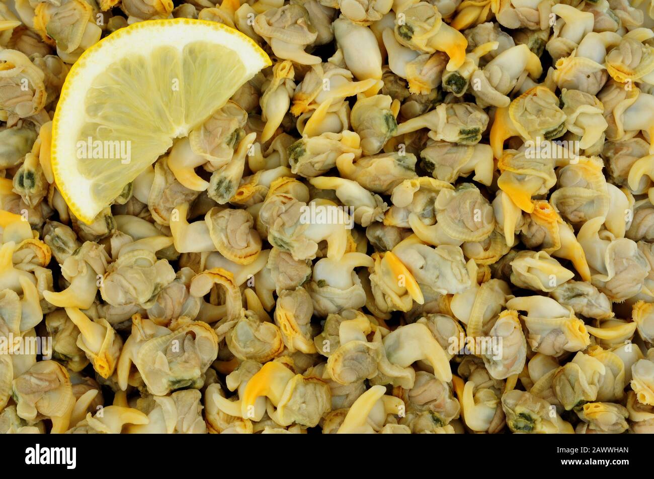 Pickled cooked shelled cockle shellfish meat background Stock Photo - Alamy