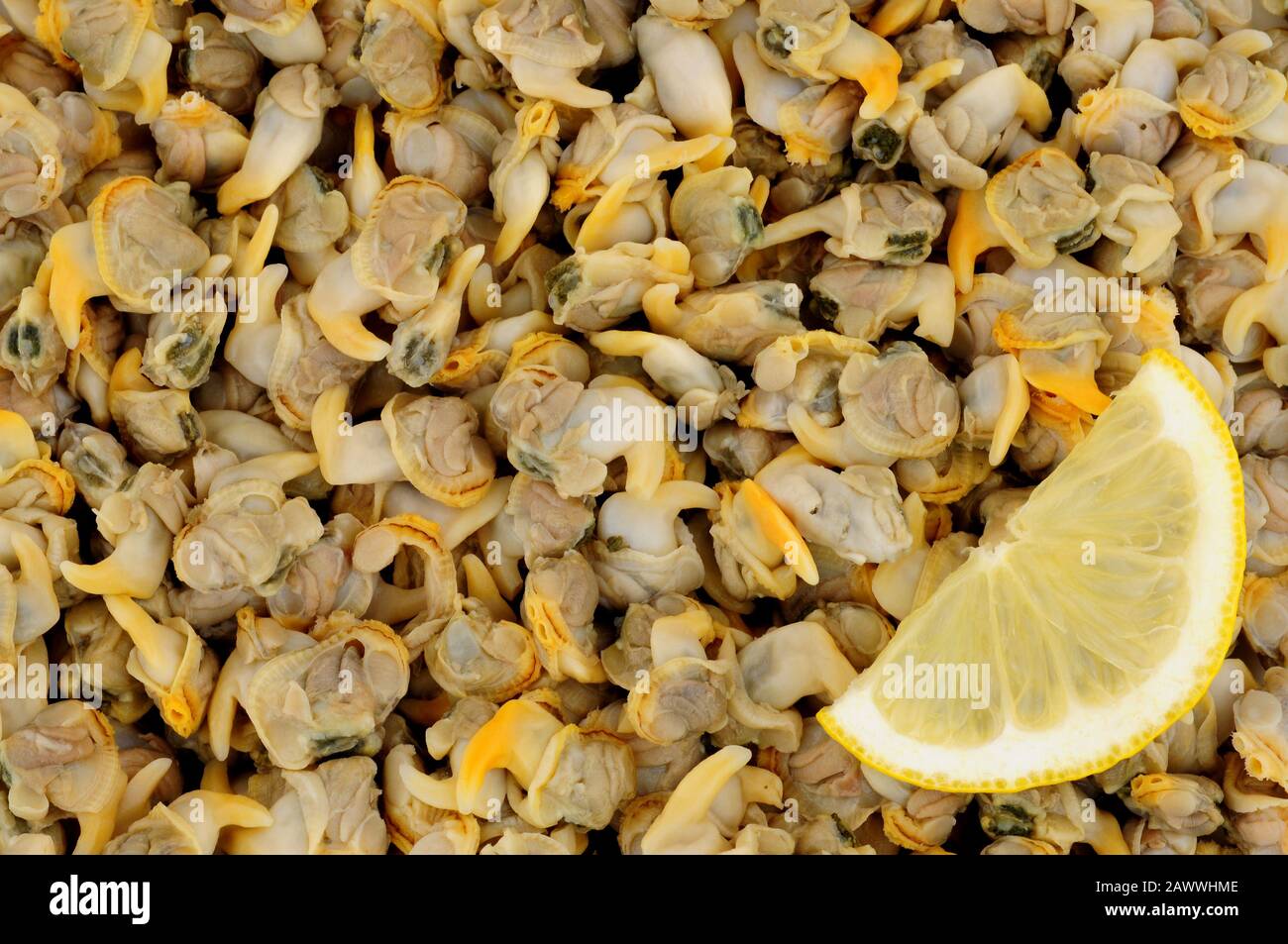 Cockle that has been pickled hi-res stock photography and images - Alamy