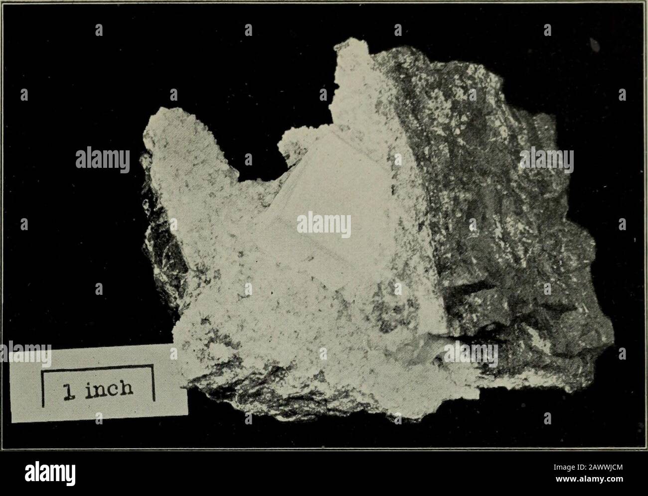 Isomorphism hi-res stock photography and images - Alamy