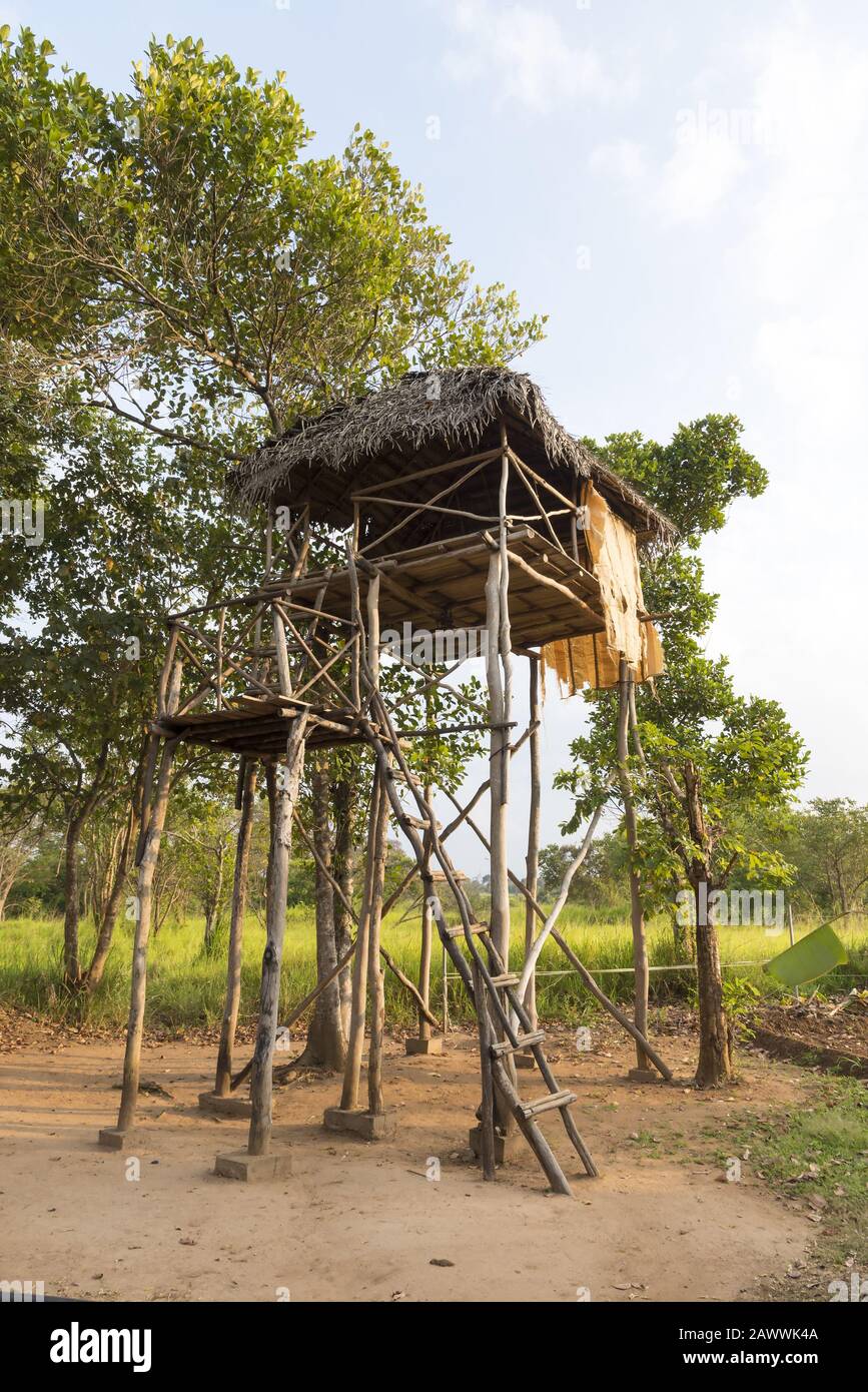 Elephant viewing platform for spotting wild elephants that may threaten ...
