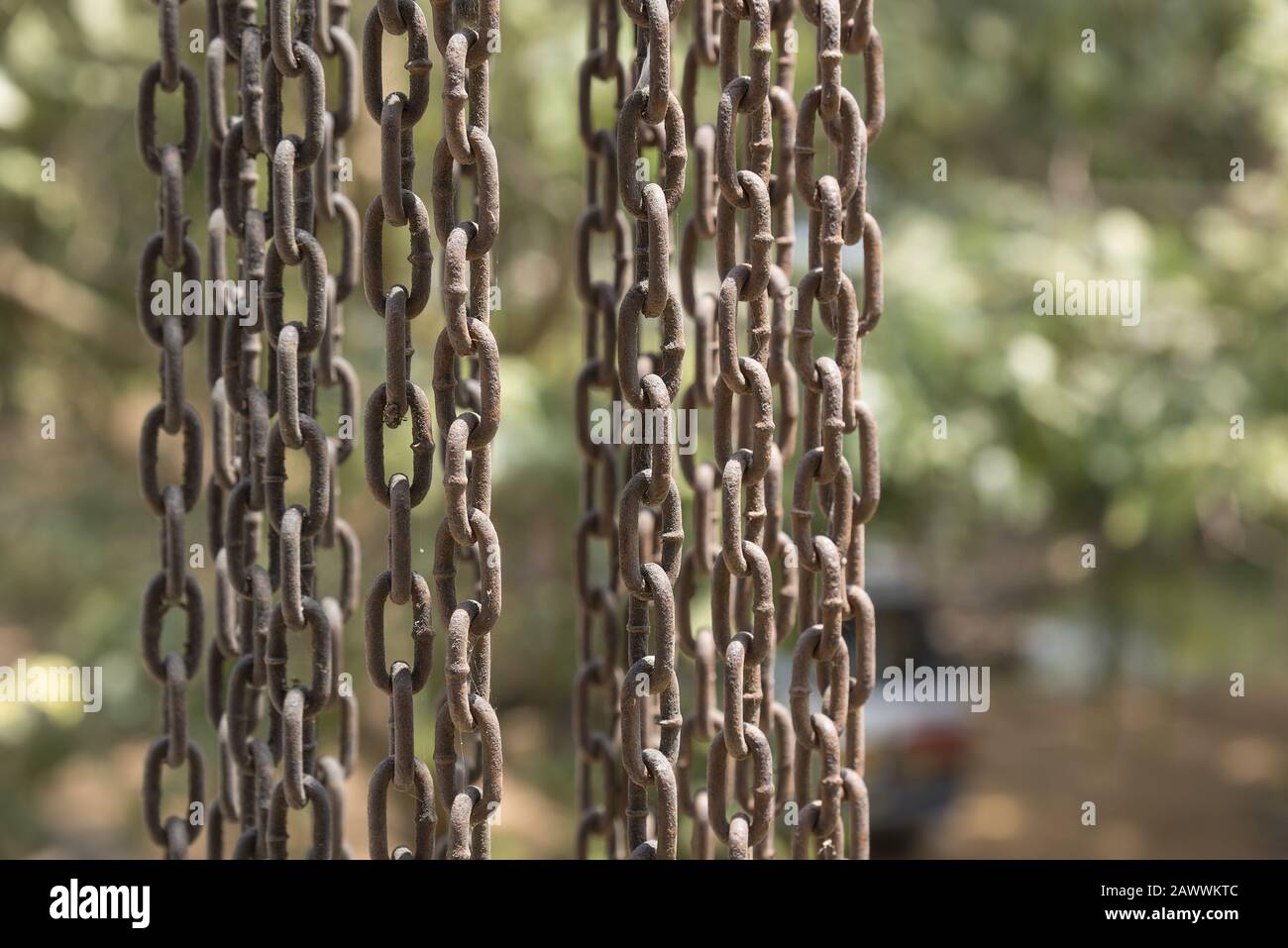 Vertical hanging rusty iron chains showing weathering covered with ...
