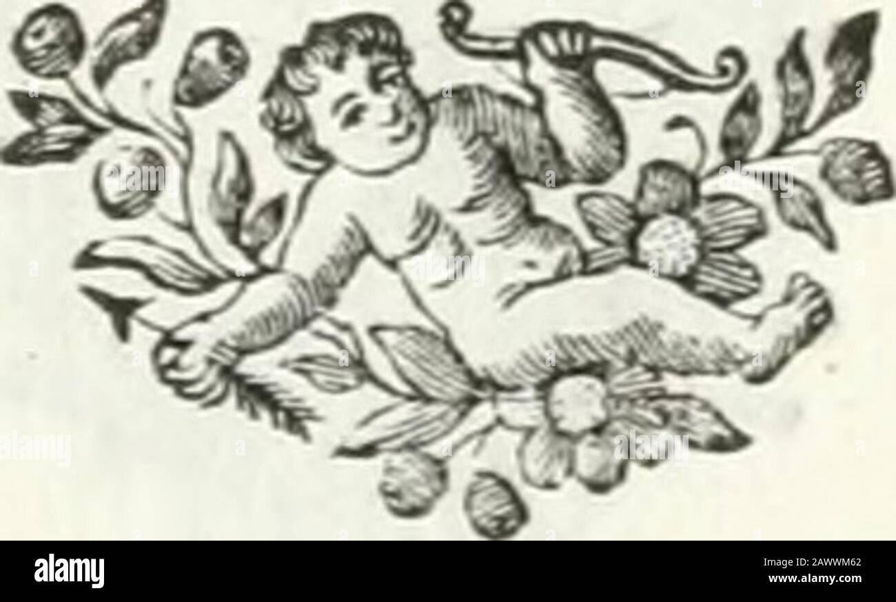 Lunga spada hi-res stock photography and images - Alamy