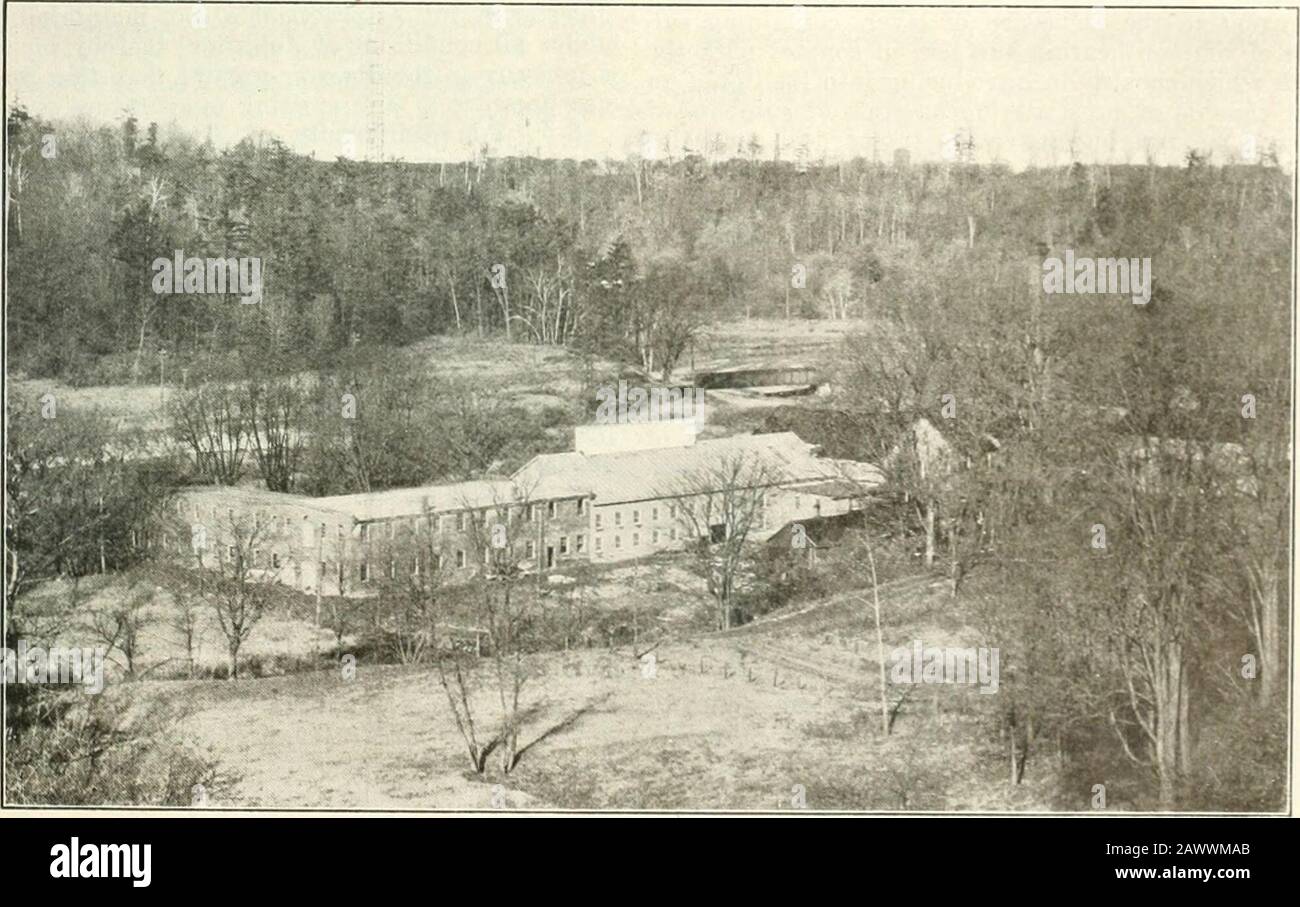 Bleached soda pulp hi-res stock photography and images - Alamy