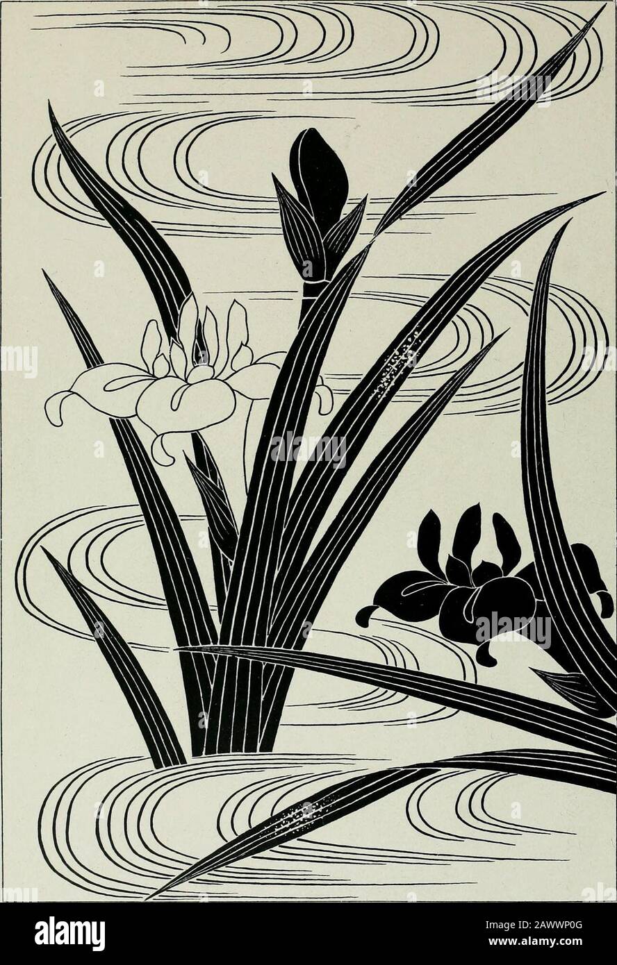 Studies in the decorative art of Japan . Plate 81. THE NANTEN (.ANDINA ...