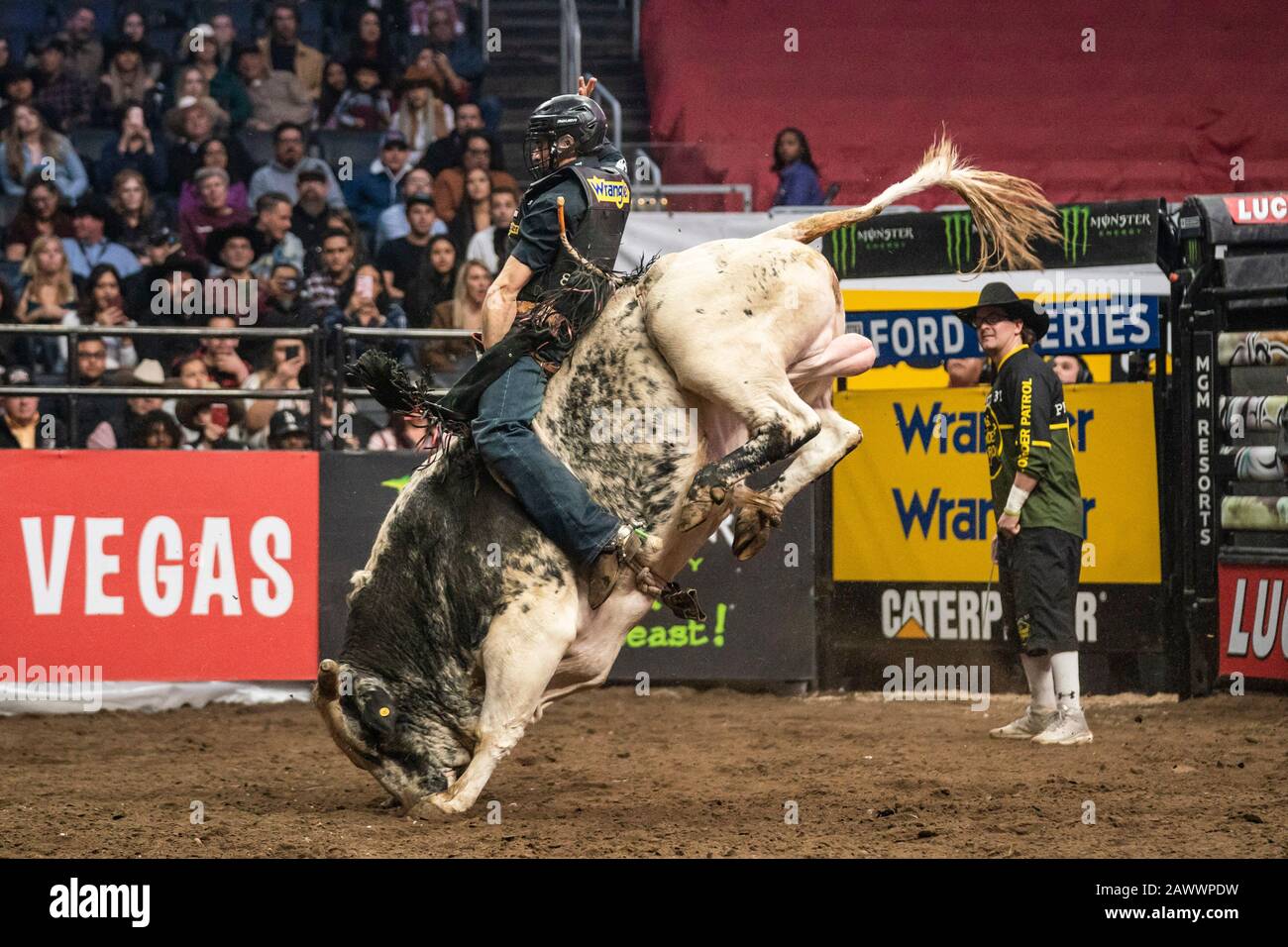 Pbr Unleash The Beast High Resolution Stock Photography and Images - Alamy