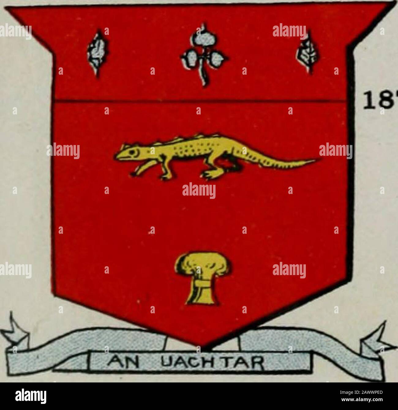 Irish pedigrees; or, The origin and stem of the Irish nation . 187 ...