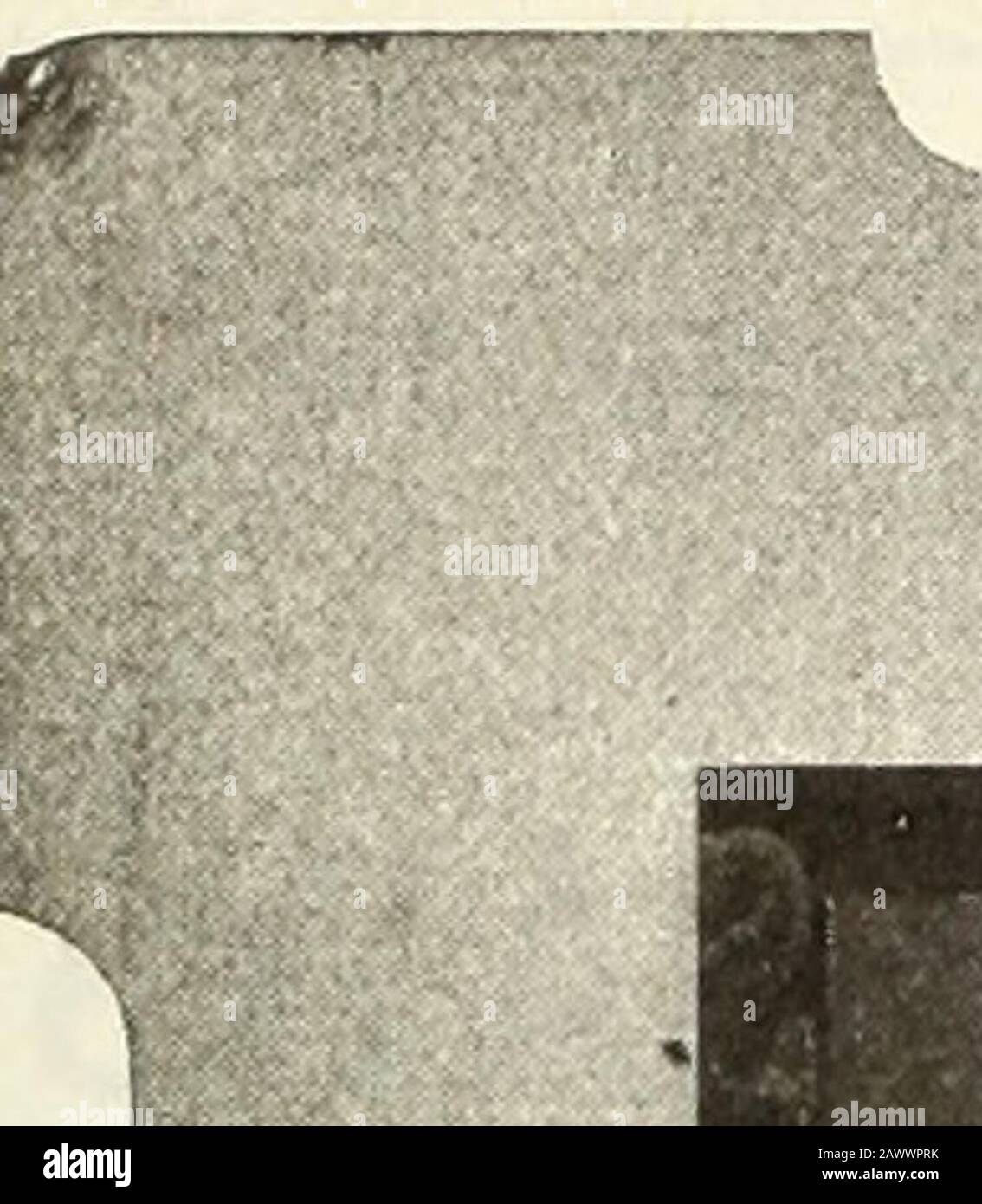 Dovetailing machine hi-res stock photography and images - Alamy