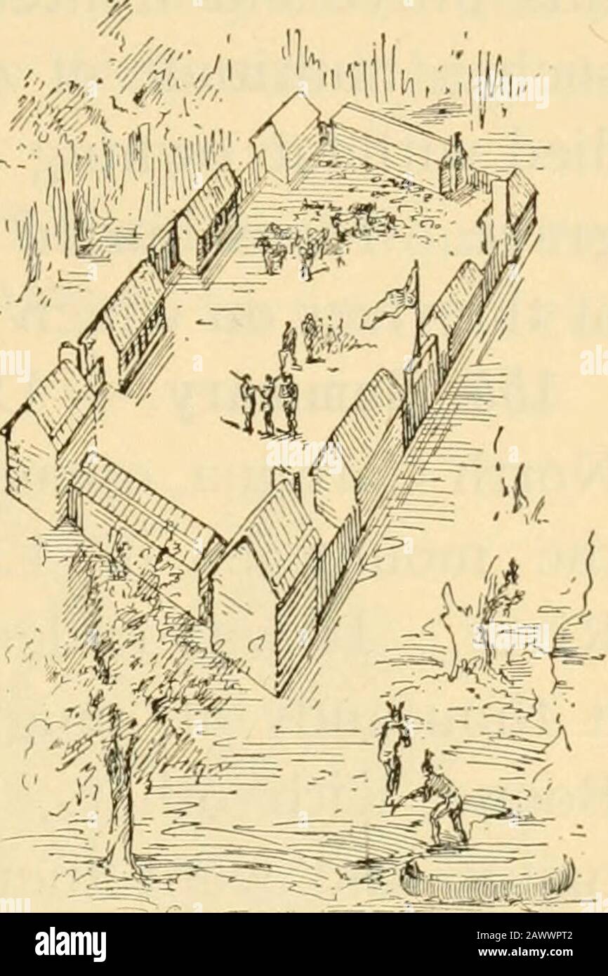 Scalp lock hi-res stock photography and images - Alamy