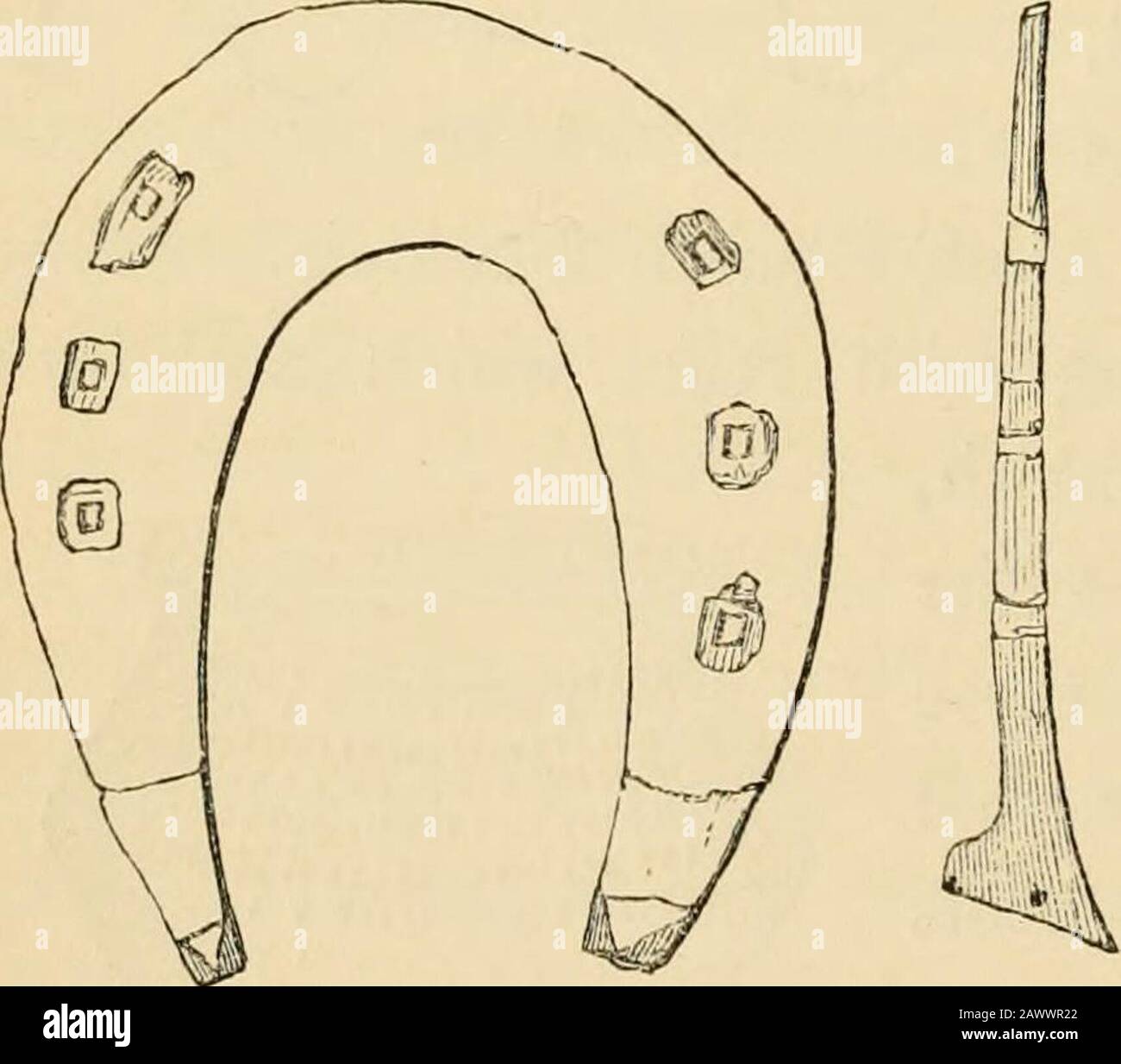 Horse-shoes and horse-shoeing : their origin, history, uses, and abuses ...